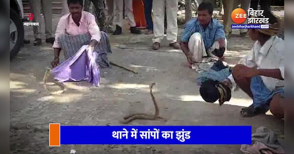 Jehanabad Snake Video There was stir among police personnel after ...