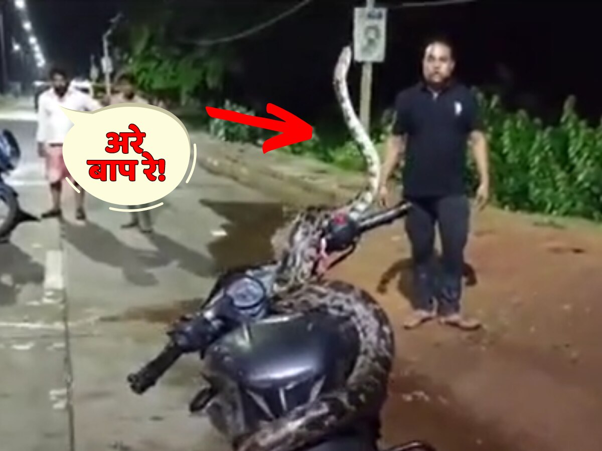 Snake Video Giant python standing on bike at bihar | Snake Video: बाइक ...