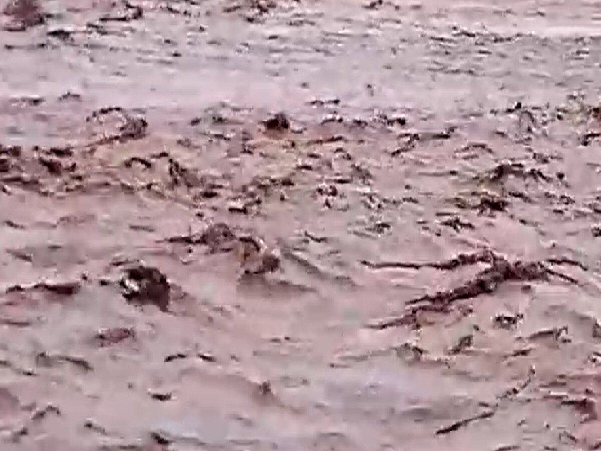 Ambala News flood in tangri river ghaggar is on alert Police evacuated ...