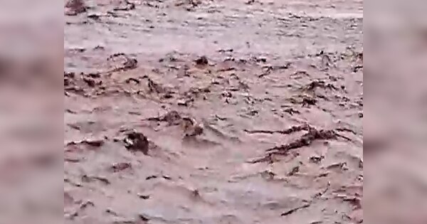 Ambala News flood in tangri river ghaggar is on alert Police evacuated ...