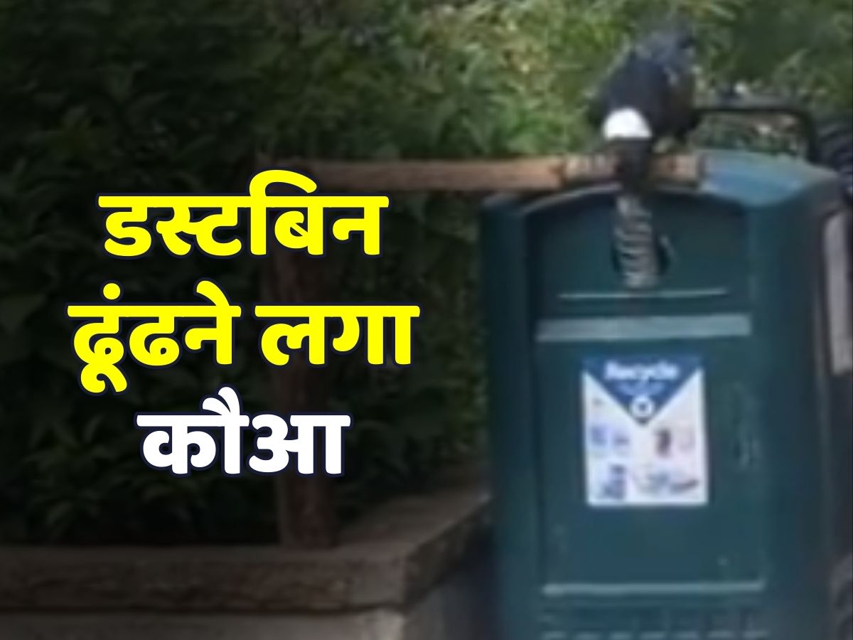Viral Video Of Crow Looking For Dustbin To Throw Bottle Like Humans ...