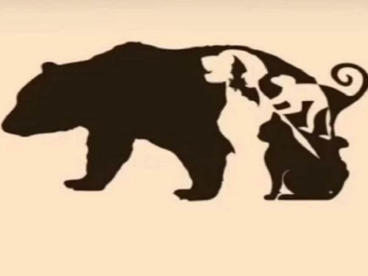 find number of animals in photo of optical illusion | तस्वीर में कितने ...