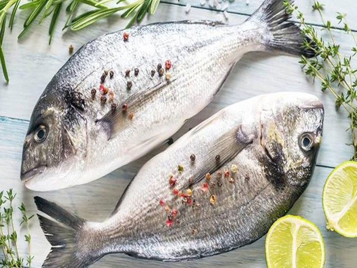 lifestyle news children eat these things to increase memory power dimag ...