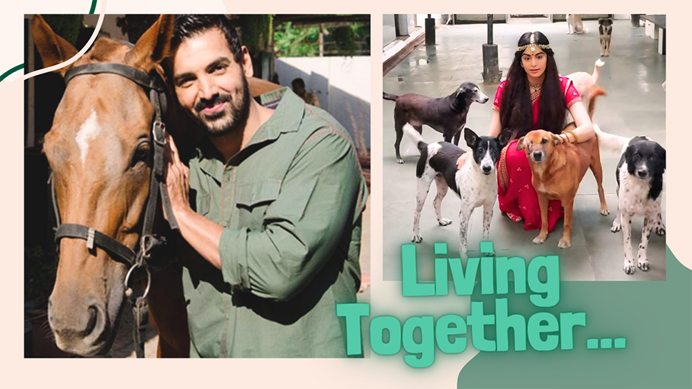 John Abraham Adah Sharma Appeal PM Narendra Modi Parliament Monsoon ...