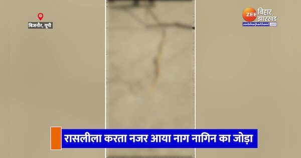 Nag Nagin pair was seen happy in Prem lila watch video | प्रेमलीला में ...