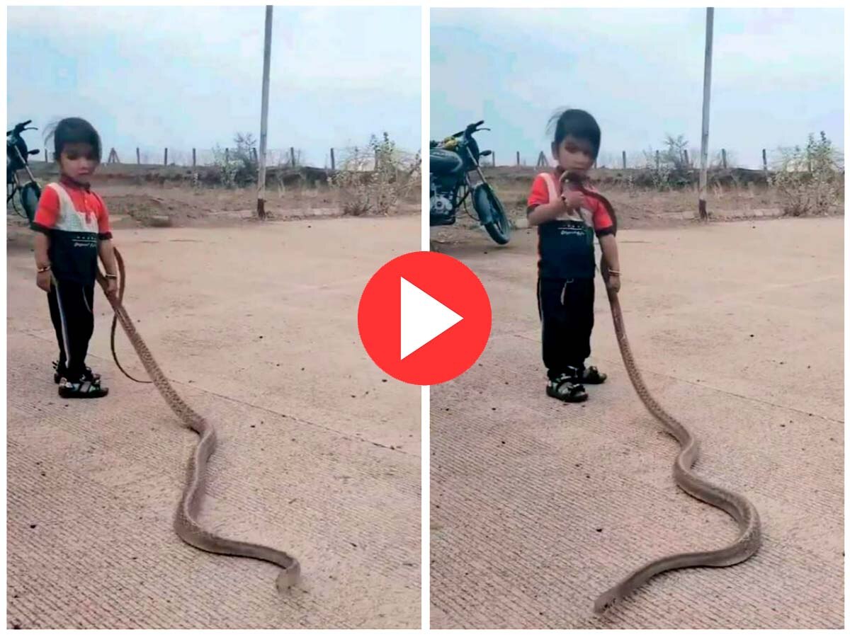 Viral video child play with snake debate started | खतरनाक सांप से खेलने ...