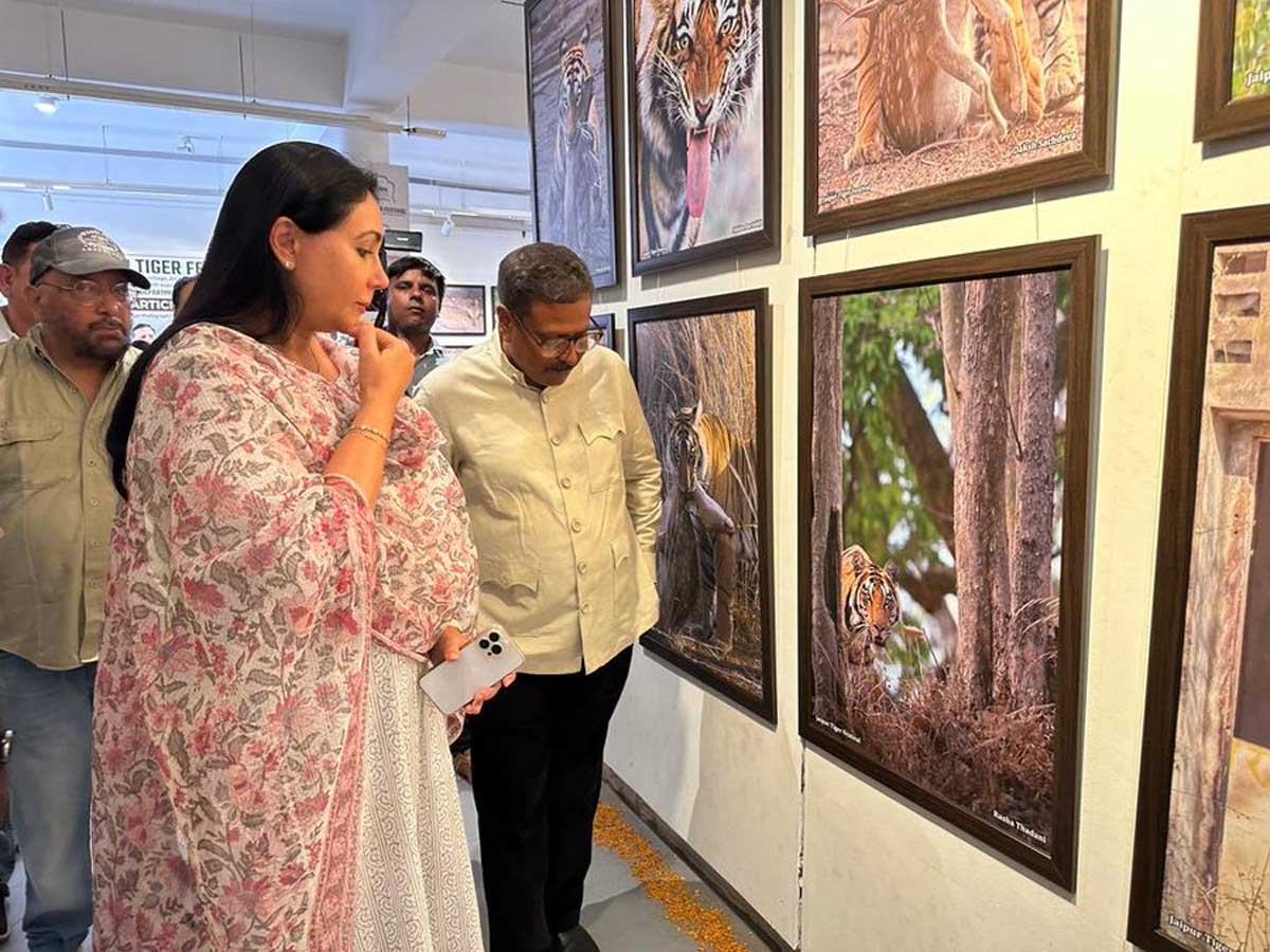 Tiger festival 2023 Photograph Exhibition in jaipur MP Diya Kumari said ...