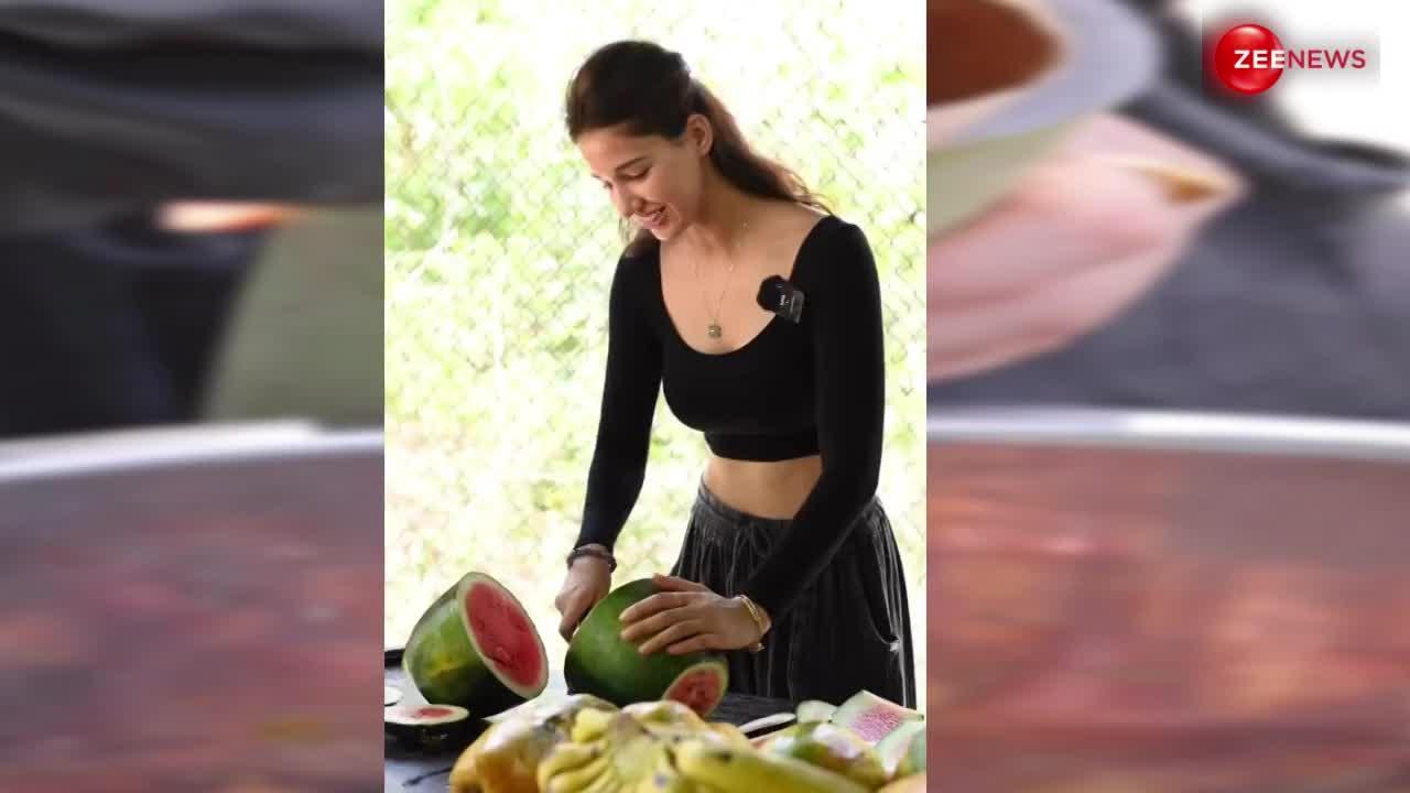 disha patani cooked and fed food to an elephant in this way | Disha ...