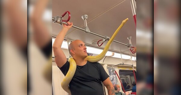 Snake video Giant python wrapped around man neck in metro watch king ...