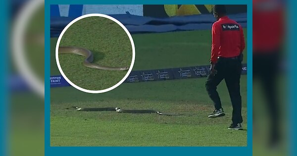 Snake Found on Field During LPL 2023 match Galle Titans vs Dambulla ...