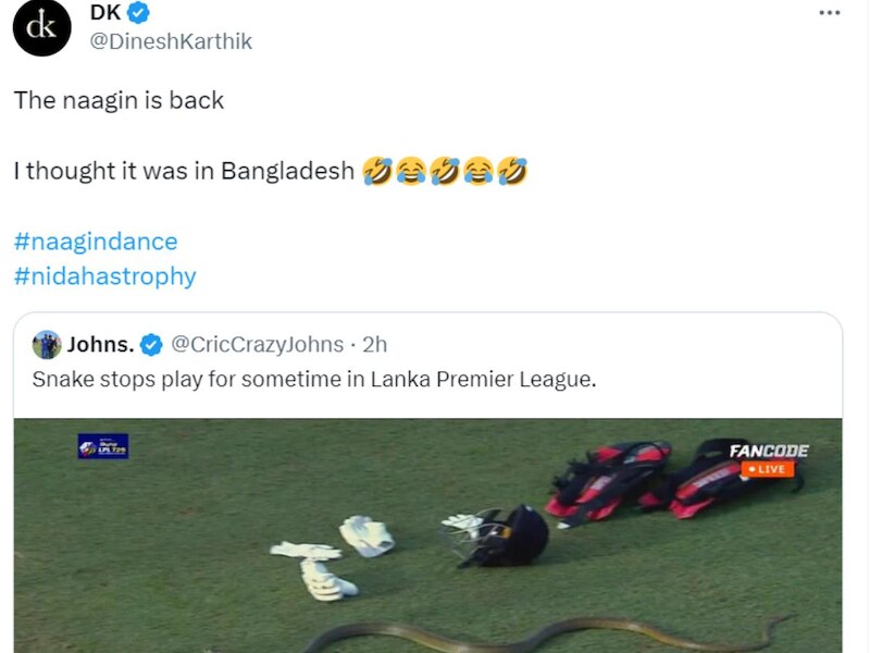 Snake Found on Field During LPL 2023 match Galle Titans vs Dambulla ...