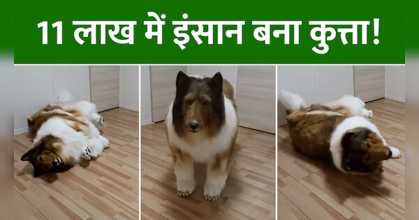 japanease man convert to dog spent 11 lakh rupees people shocked Dog ...