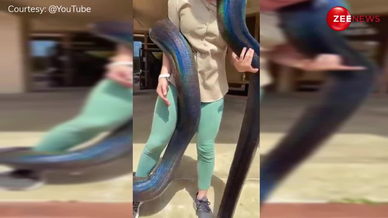 rainbow snake world most beautiful snake in the world you will ever ...