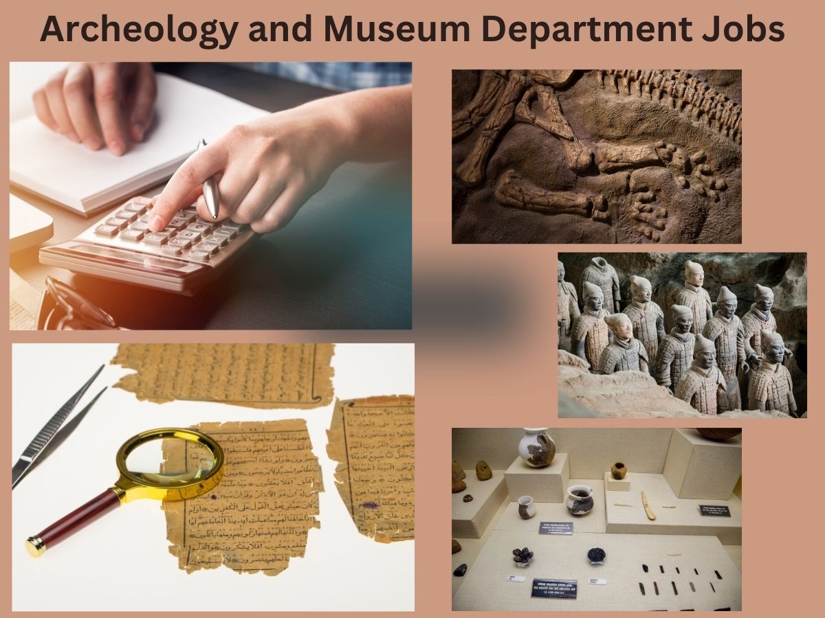 Archeology and Museum Department vacancy Search and Excavation Officer ...