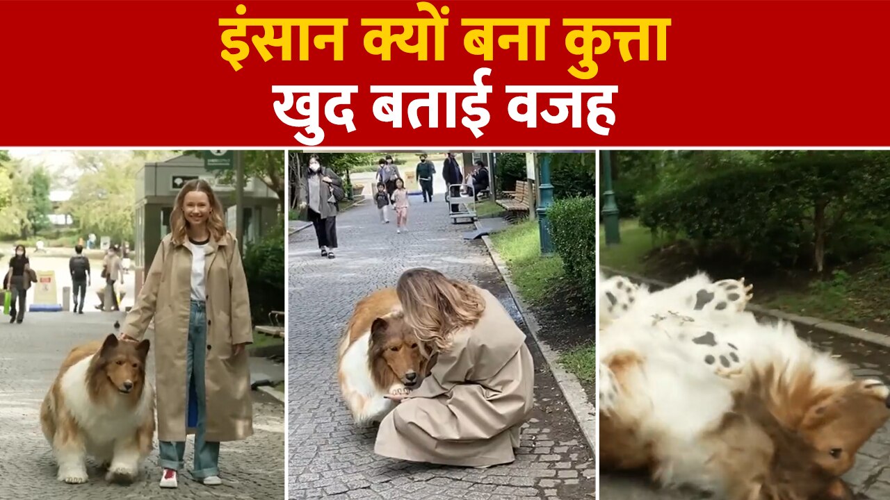 japanese man told why he became a dog from man japani admi bana kutta ...