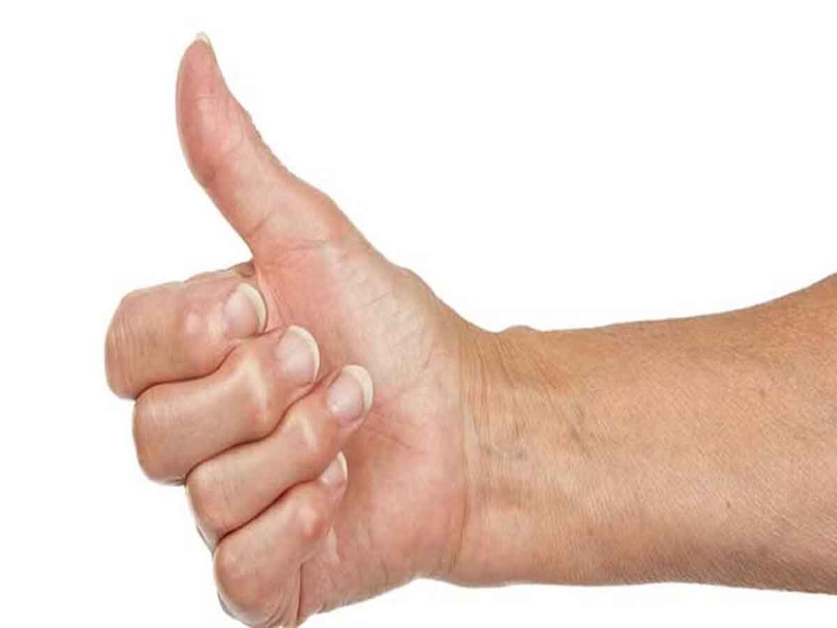 palmistry Thum Meaning thumb shape size reveal person nature future ...