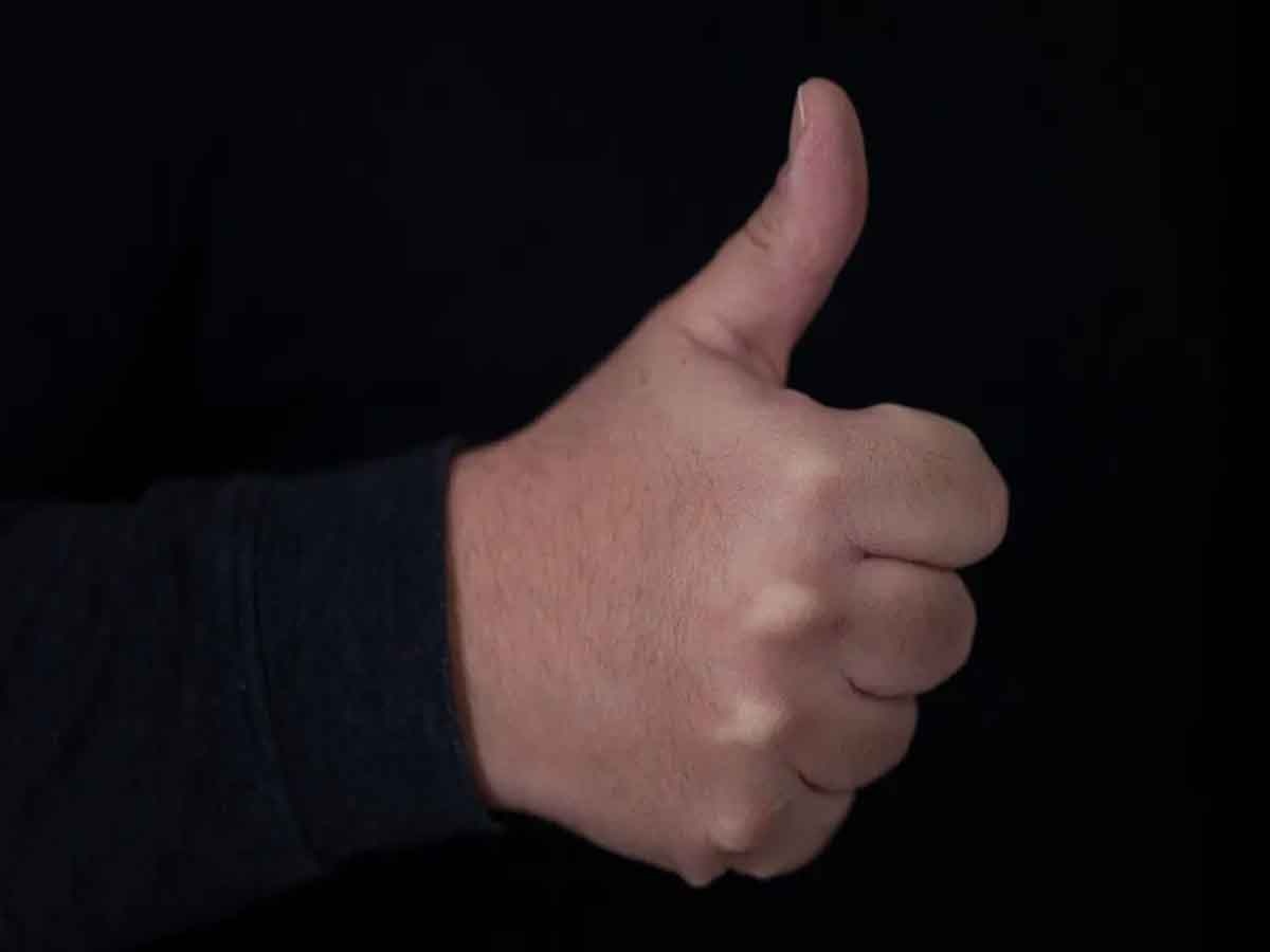 palmistry Thum Meaning thumb shape size reveal person nature future ...