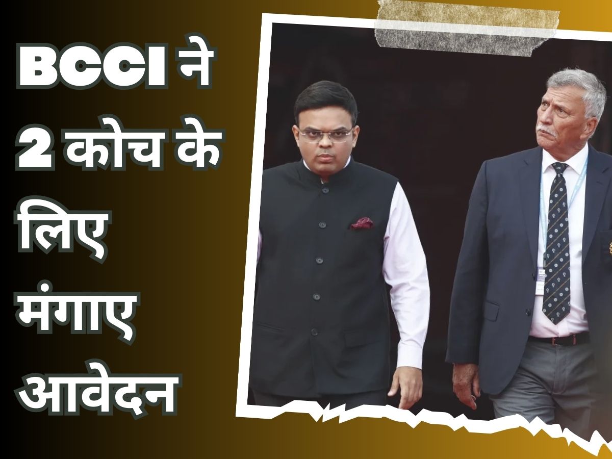 BCCI invited applications for 2 coach positions Before the start of T20 series Rahul dravid ...