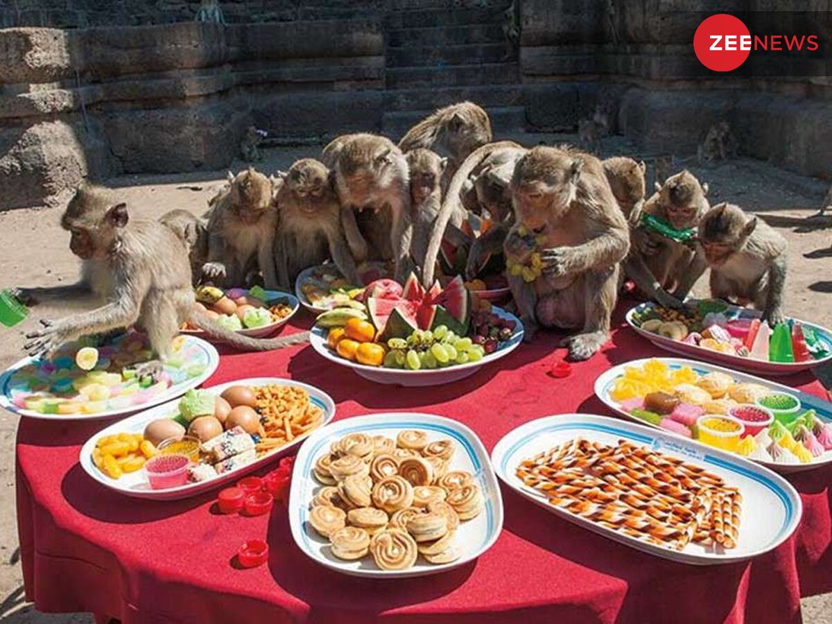 Weird Festival: Here monkeys are given a feast humans dance like ...
