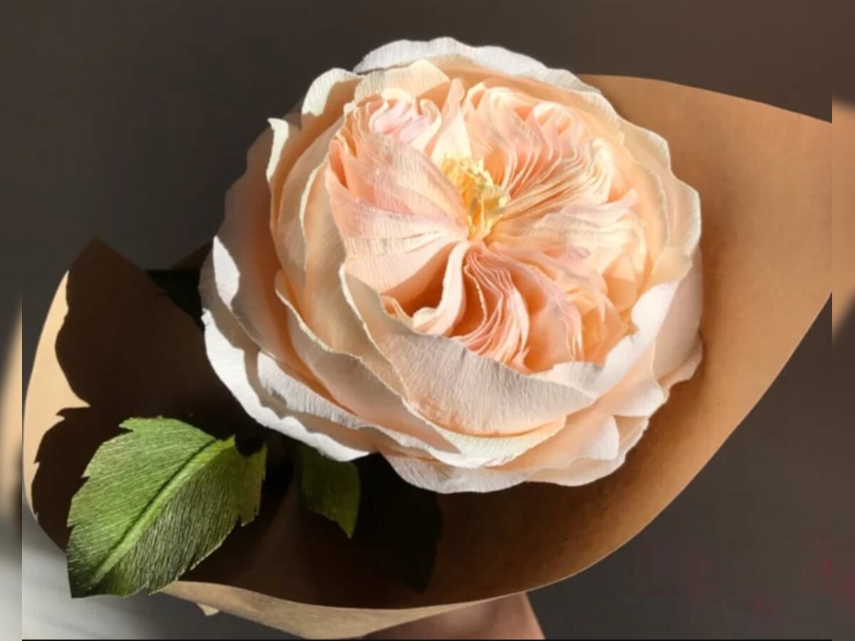 Top 6 most expensive flowers in the world