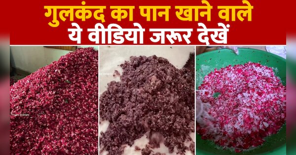watch how paan gulkand is made unhygienically with rose petals | Paan ...