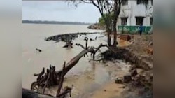 Nehru Bangla Estuary Paradeep की ताज़ा खबरे हिन्दी में | ब्रेकिंग और ...