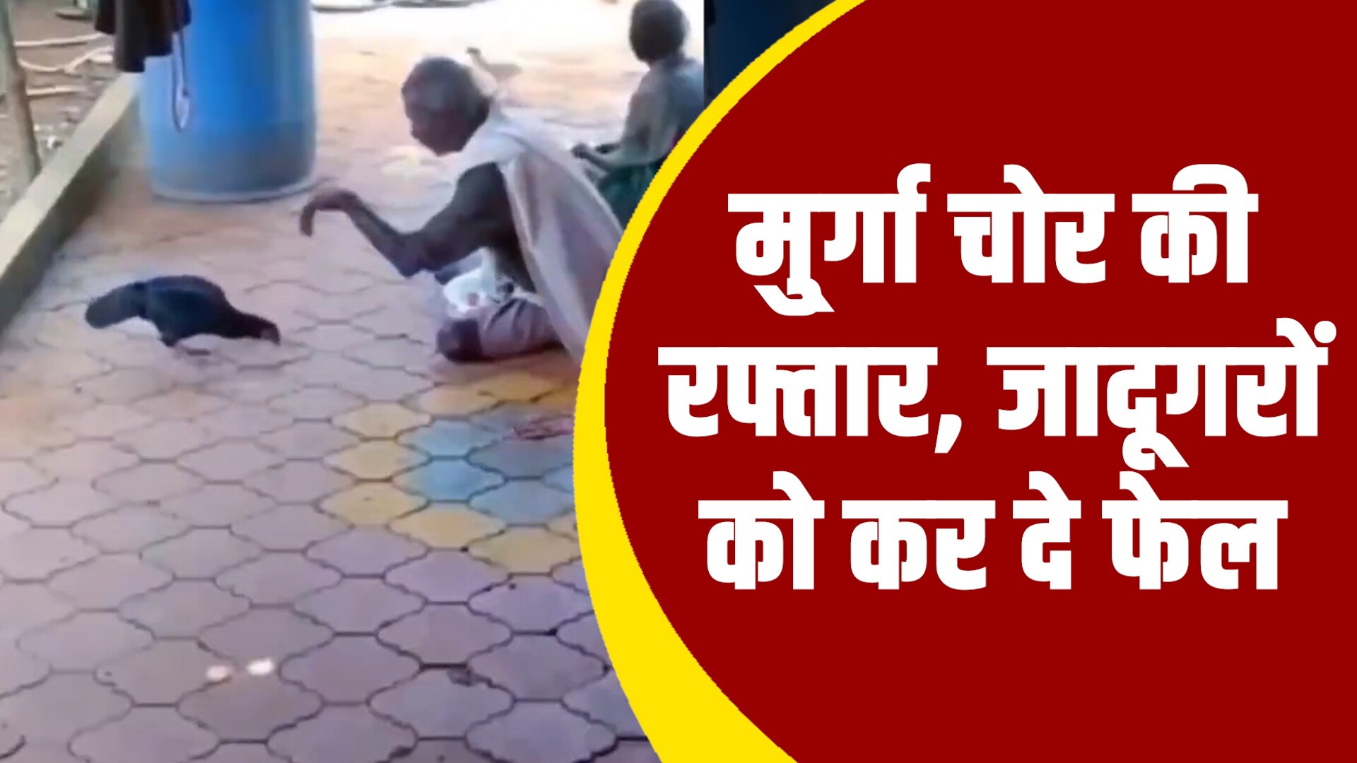 Viral Video of man stealing hen in very funny way watch most trending ...