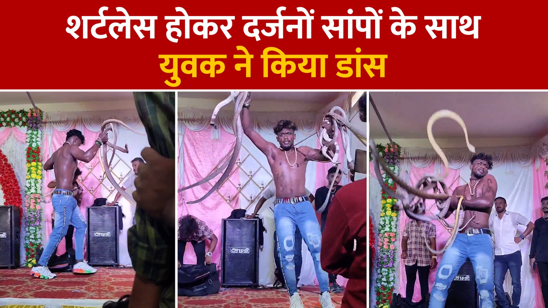 viral video of young man dance with dozen of snake at stage | Viral ...