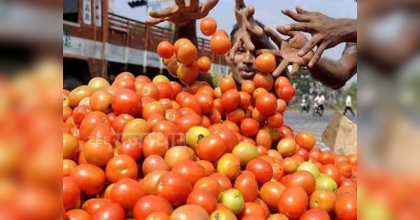 Rajasthan News Why tomato prices continuously rising in vegetable ...