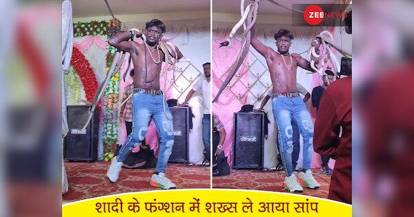 snake in wedding Video: man in wedding function with a lot of snakes ...
