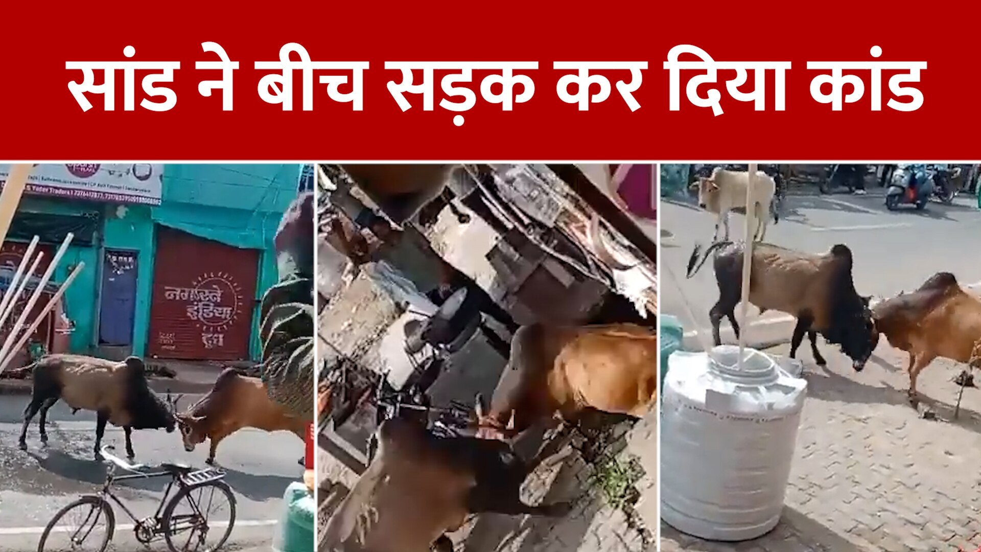 Saand ka viral video bull fight on street gone viral on social media ...