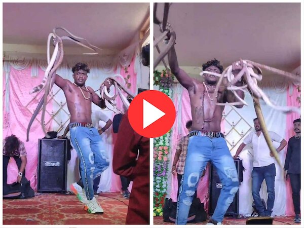 snake viral video snake on bride groom stage guest scared