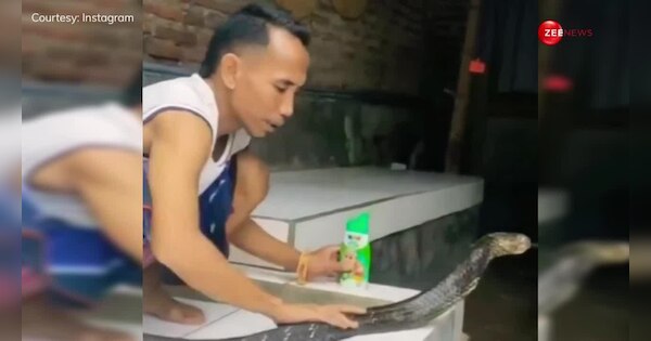 Shocking Bathed the snake with shampoo like a child video will give you ...