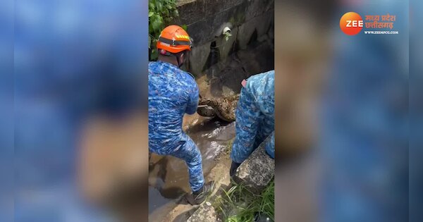 ajgar ka video 10 feet long dangerous python was hidden in the drain ...