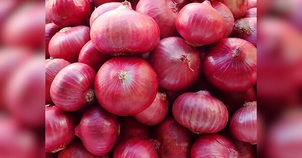 after tomato price onion rate increase due to heavy rainfall Onion Price In India | Onion Price ...