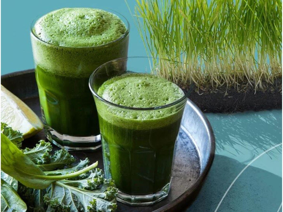 top 5 health benefits of wheat grass known as super food know gehun ke ...