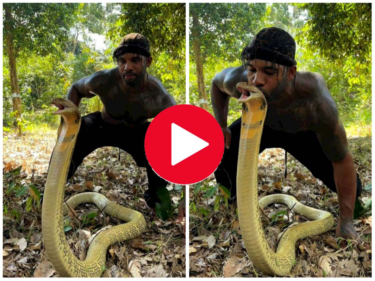 Snake Viral Video man kissed on snake head people says you are insane