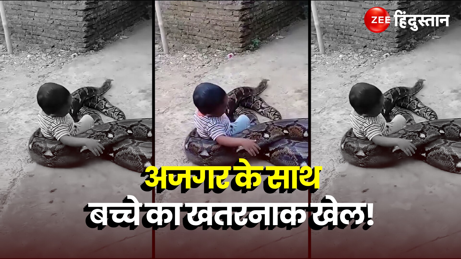 A kid is seen playing with a python and then sitting on its back and ...