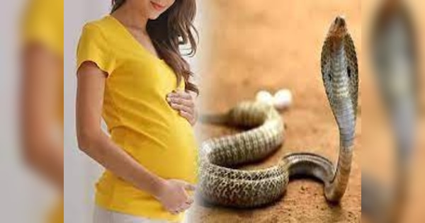Jyotish Shastra: आखिर गर्भवती महिलाओं को क्यों नहीं काटते जहरीले सांप ...