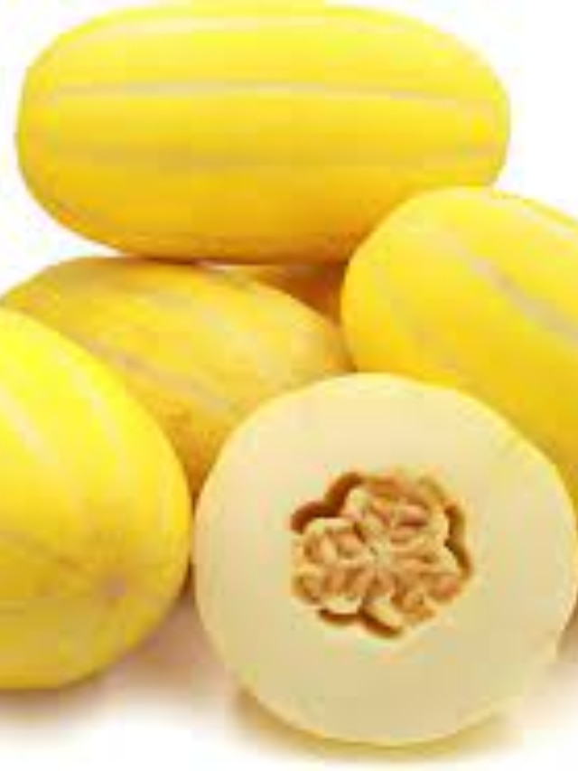 Sun melon fruit benefit This fruit which looks like a melon is of great ...
