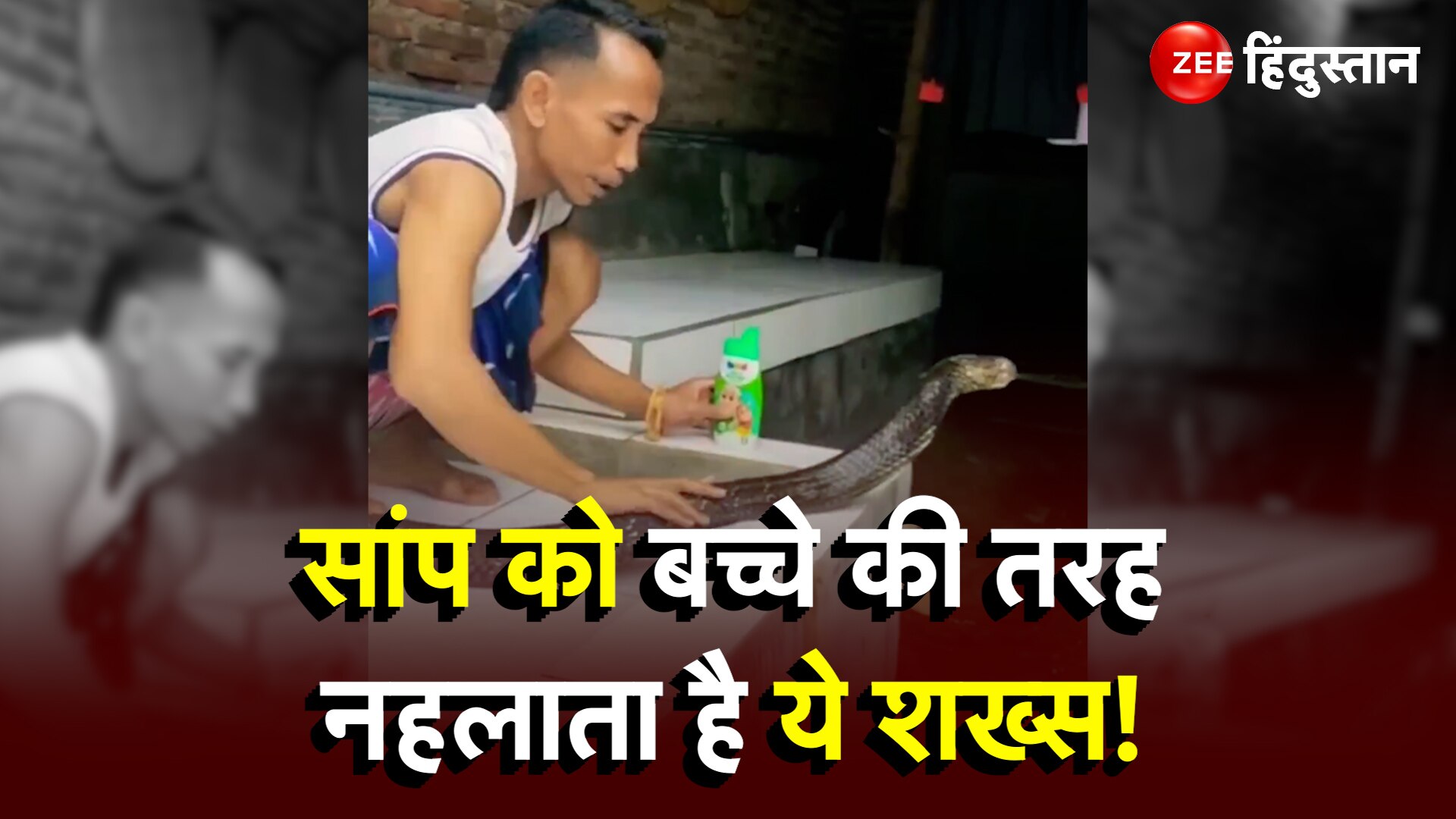 Man Casually Giving Bath to Huge Snake Leaves Internet Horrified | Viral Video: सांप को रगड़ ...