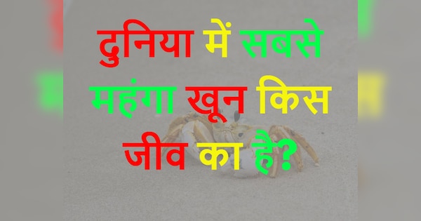 GK Quiz puzzle Which animal has the most expensive blood in the world ...