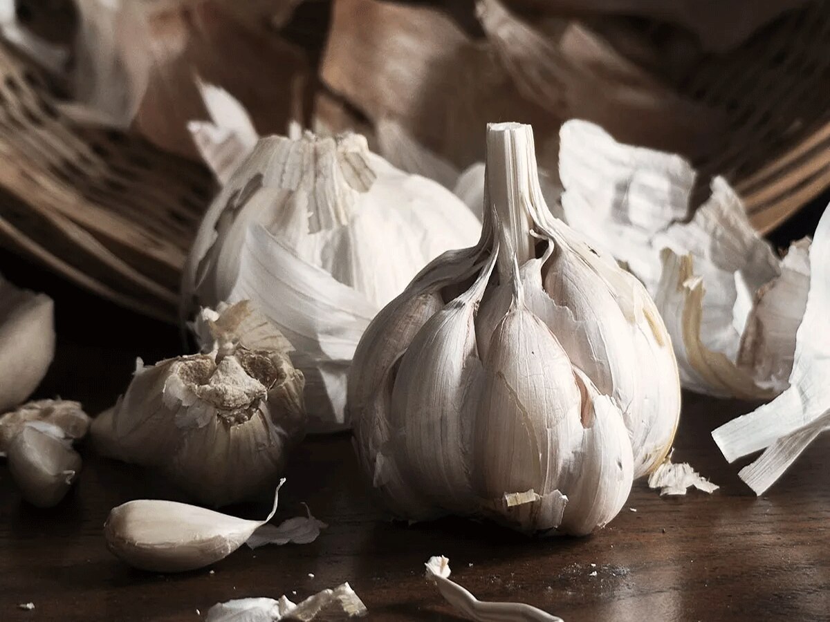 lahasun ke totake Garlic tricks that show effect from the next day ...