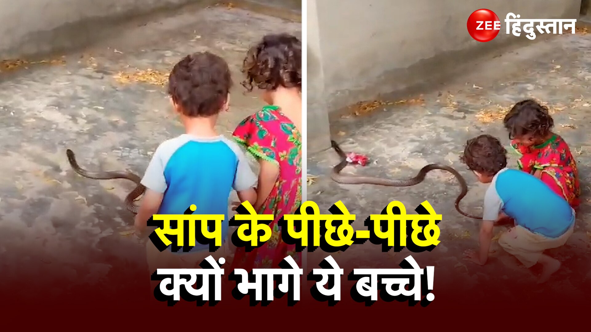 Two kids seen playing with a snake video goes viral | Snake Viral Video ...