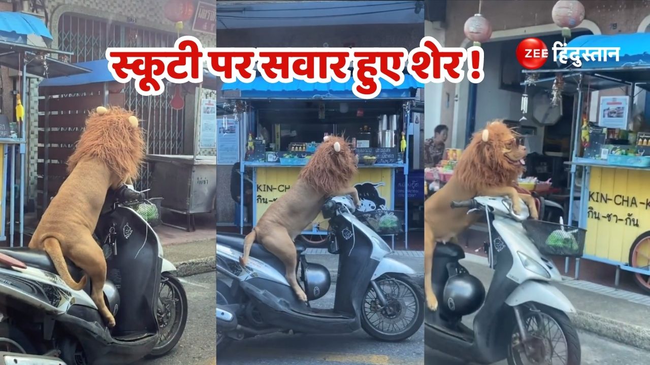 Tiger Video Babbar Sher sitting on the road holding the scooty handle ...