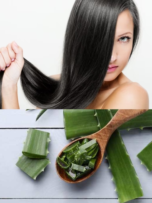 Hair Care tips how to get rid of hair fall Aloe Vera Gel use balo ko ...