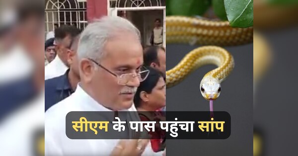 bupesh baghel reaction when snake reached to his feet says i played ...