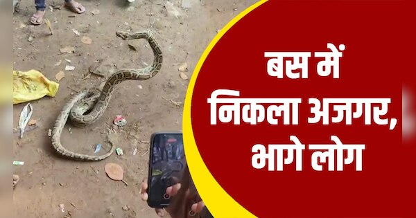 Huge Snake seen near Bus Stand Forest Department rescue Python in Ghaziabad watch viral video ...