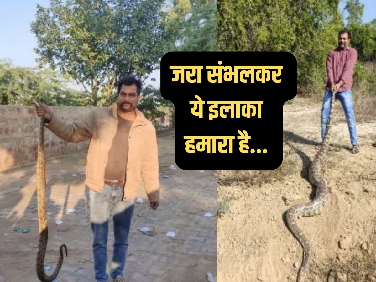 13 species of snakes are present at this place of Rajasthan this place ...