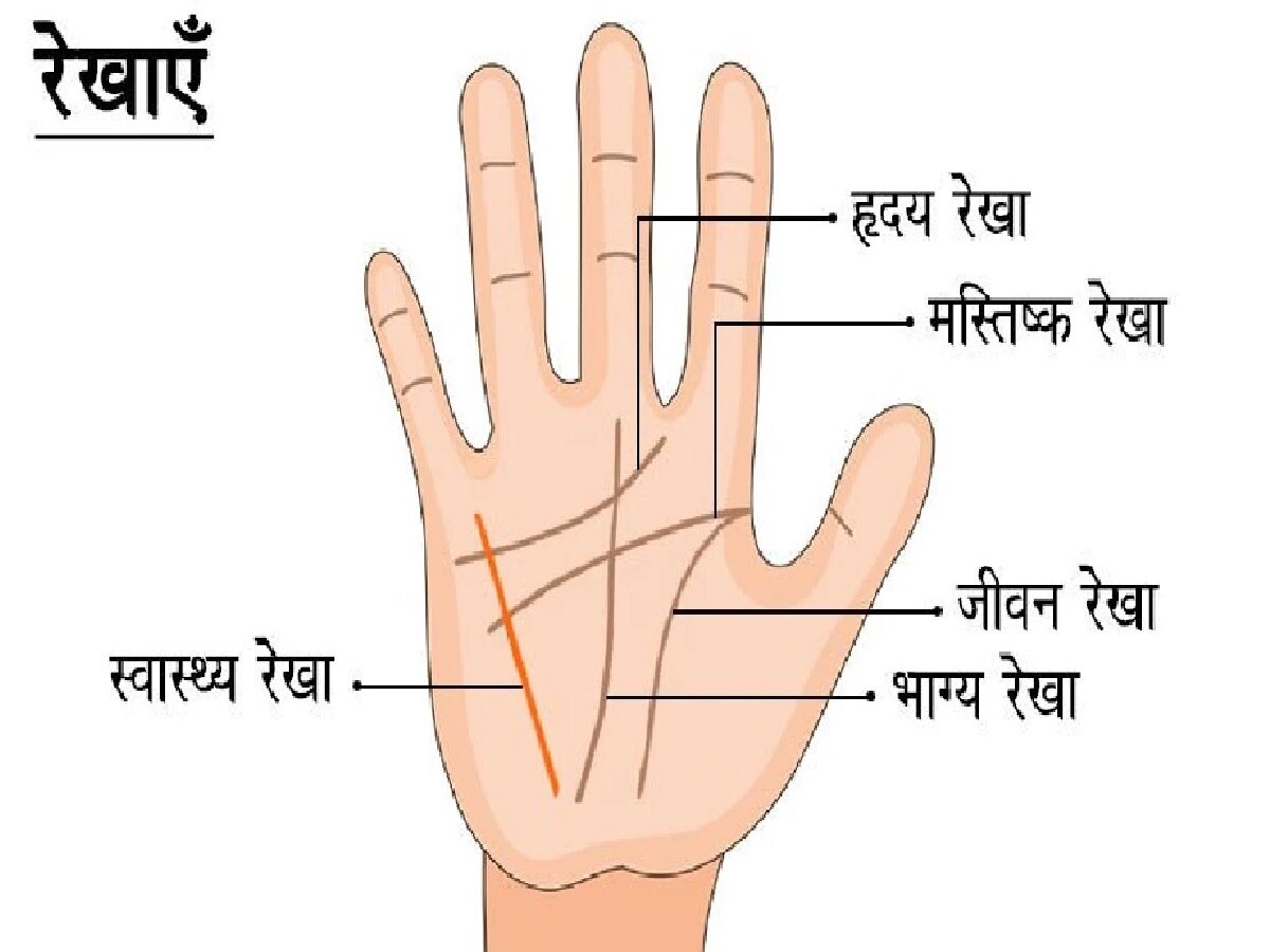 Palmistry unfaithful people have this type of hriday rekha know double ...